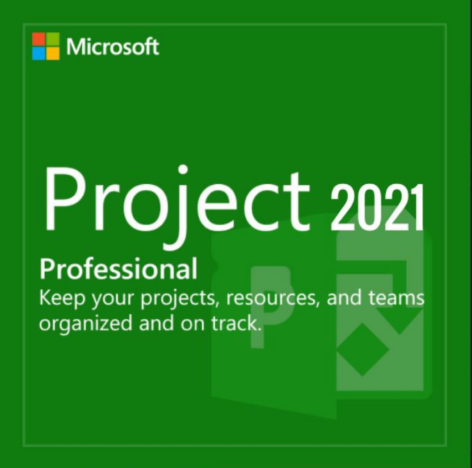 Microsoft Project 2021 Professional