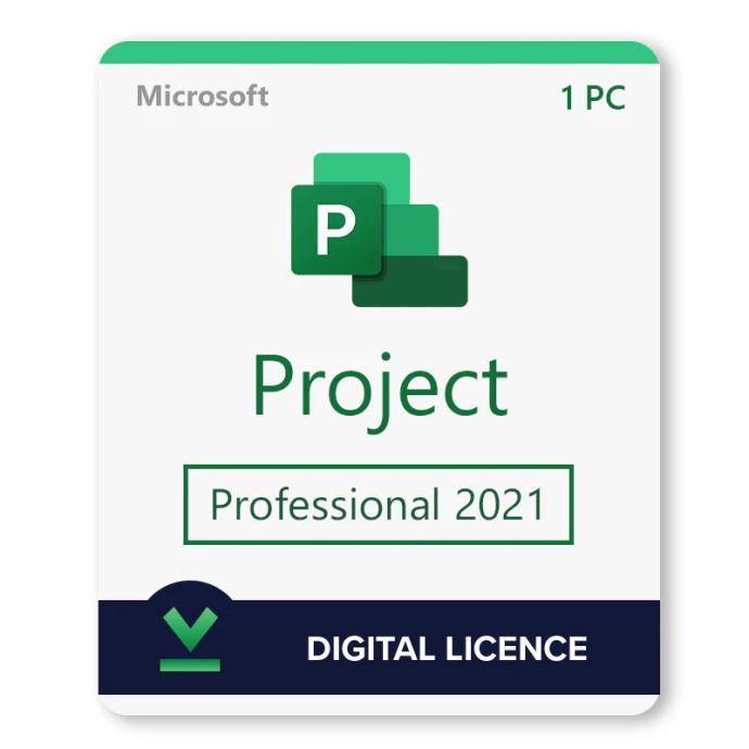 Microsoft Project Professional 2021 LICENCA / KEY