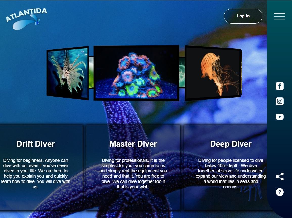 Website development and website design