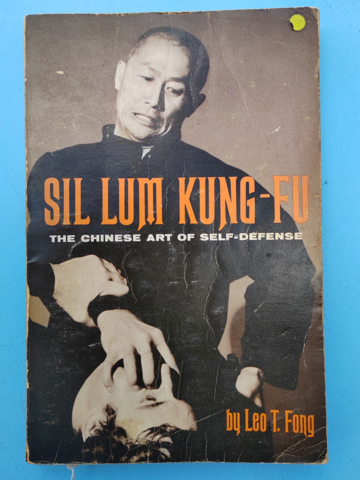 Sil Lum Kung Fu
