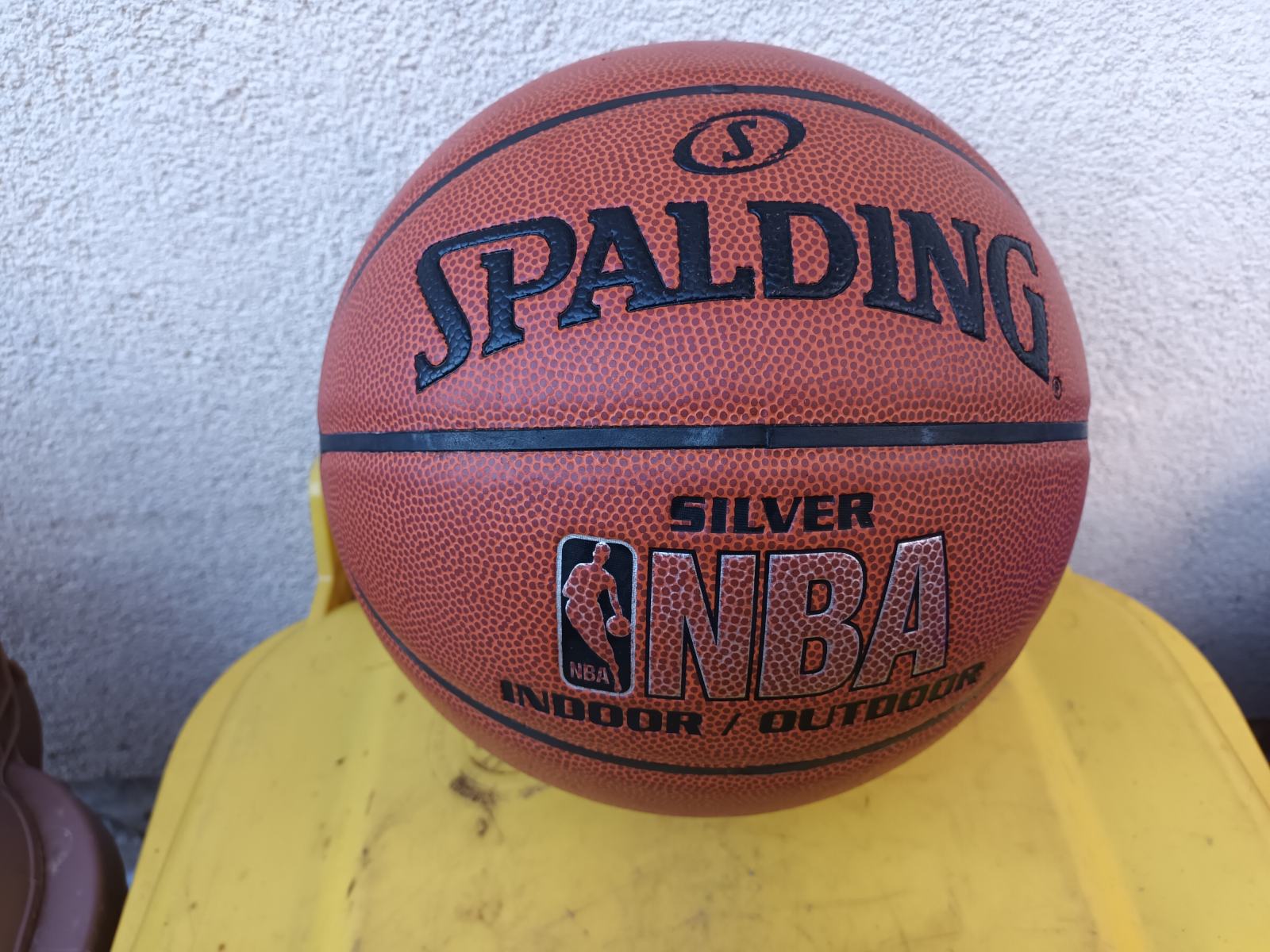 Spalding Adam Silver