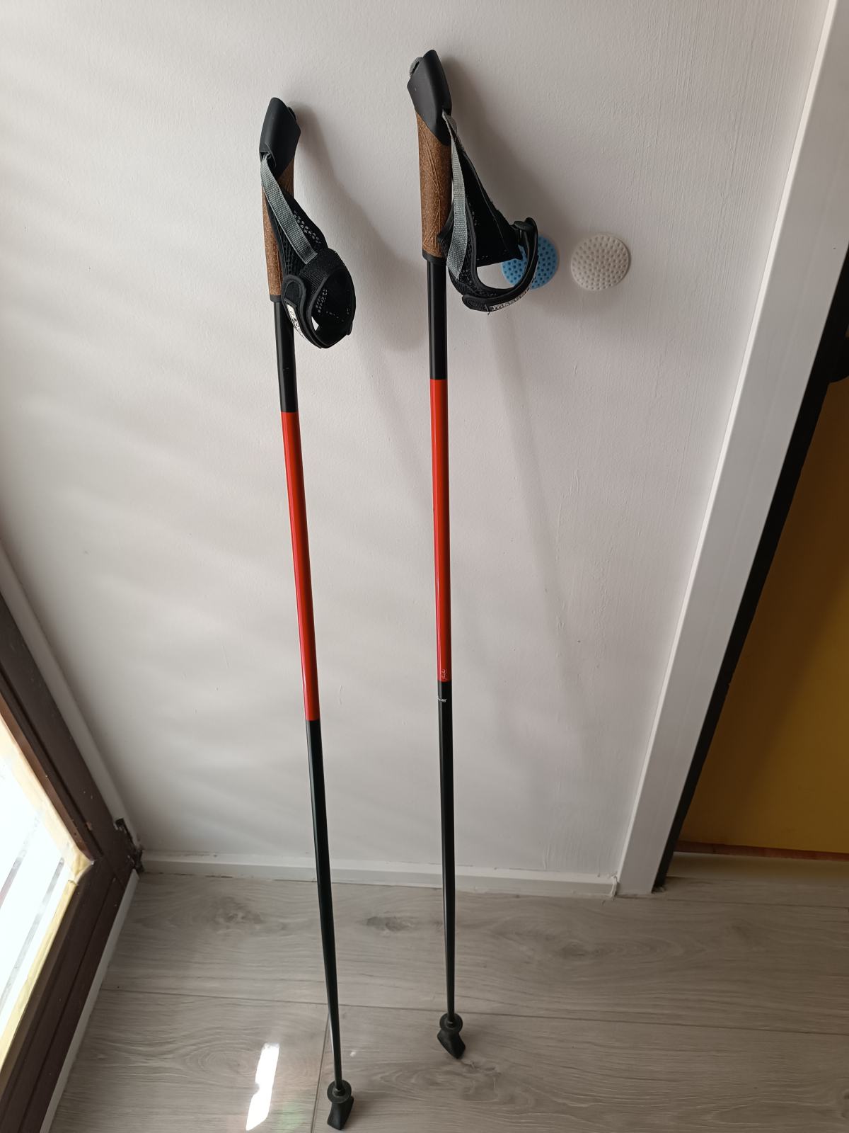 Štapovi za Nordijsko hodanje