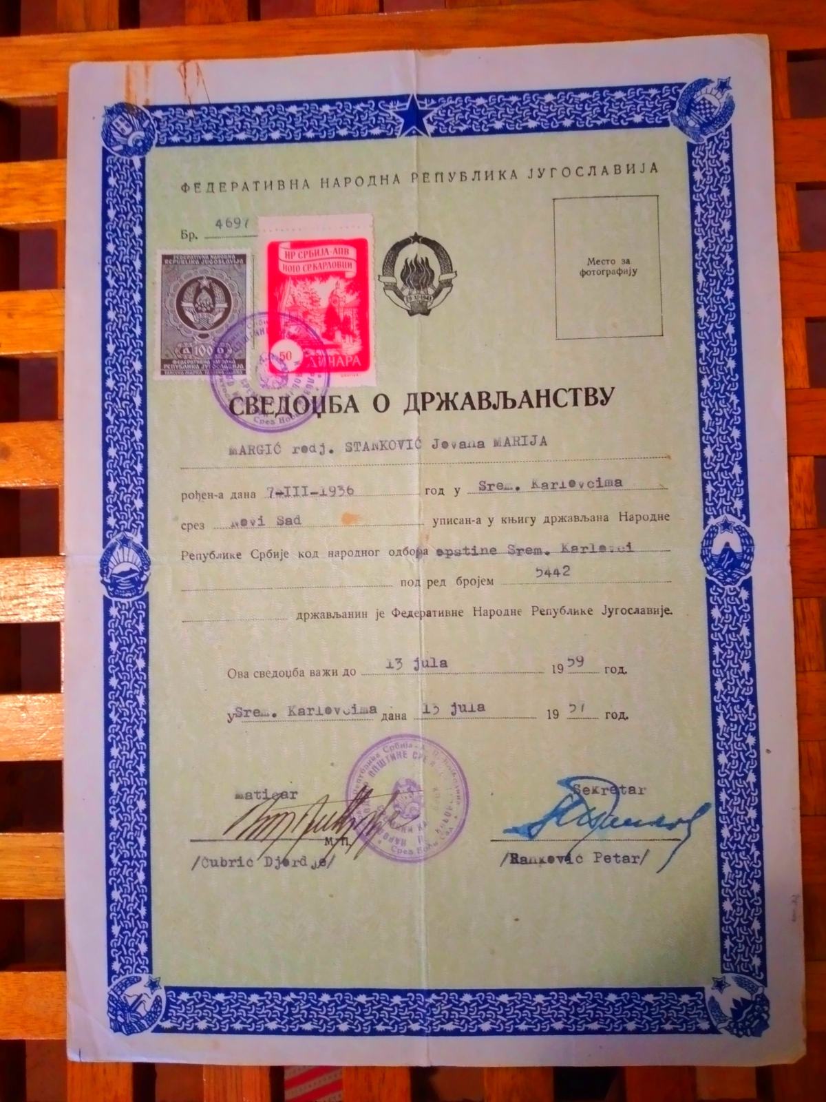 SVEDODŽBA O DRŽAVLJANSTVU 1951 FNRJ SREMSKI KARLOVCI