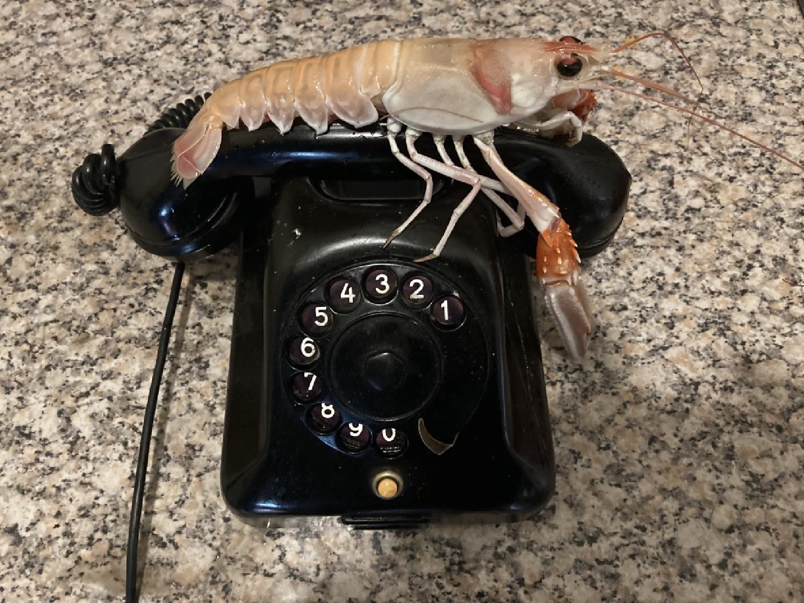 telefon