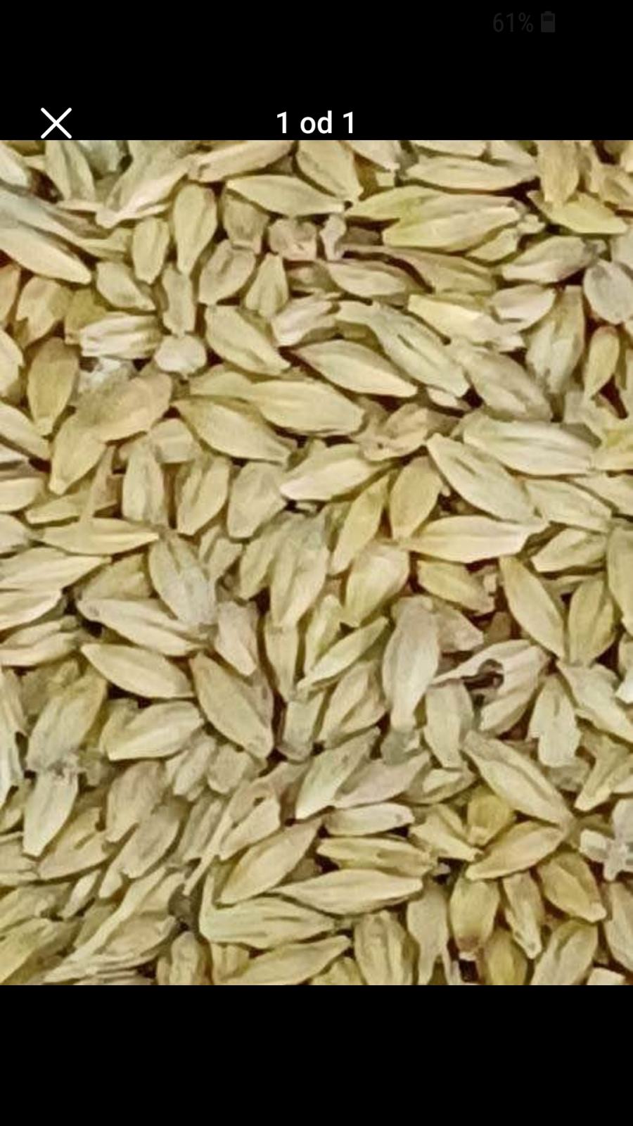 Jecam 1. Reprodukcija stocni