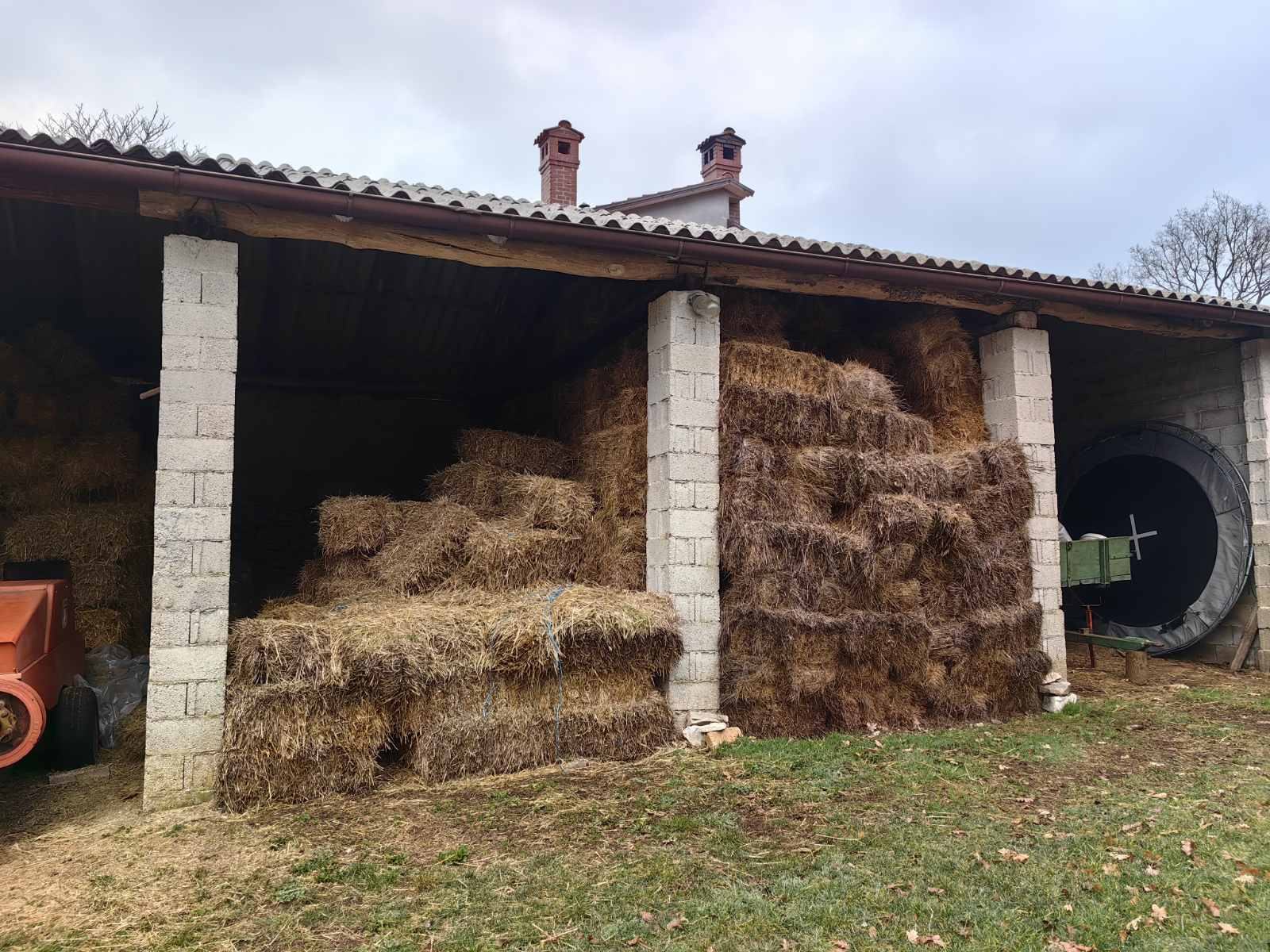 Kockaste bale od sijena - lanjske