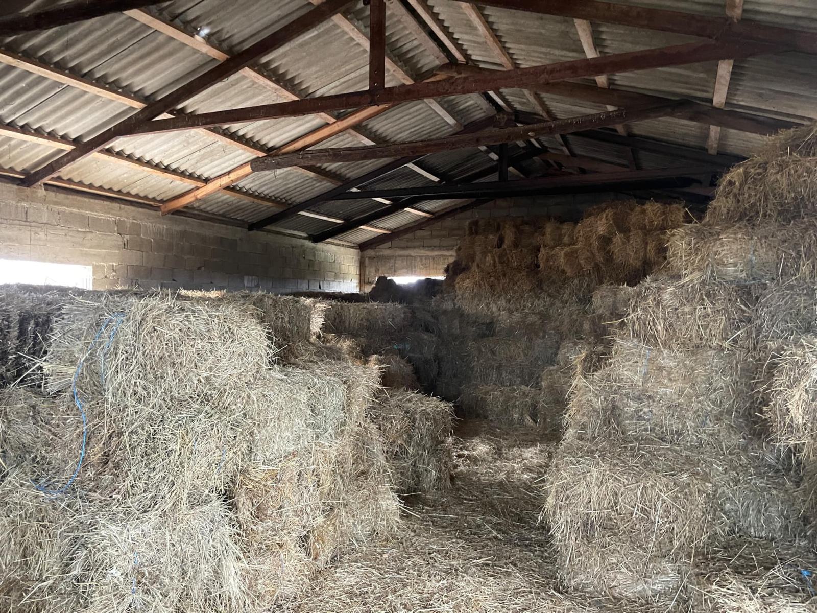 Kockaste bale sijena