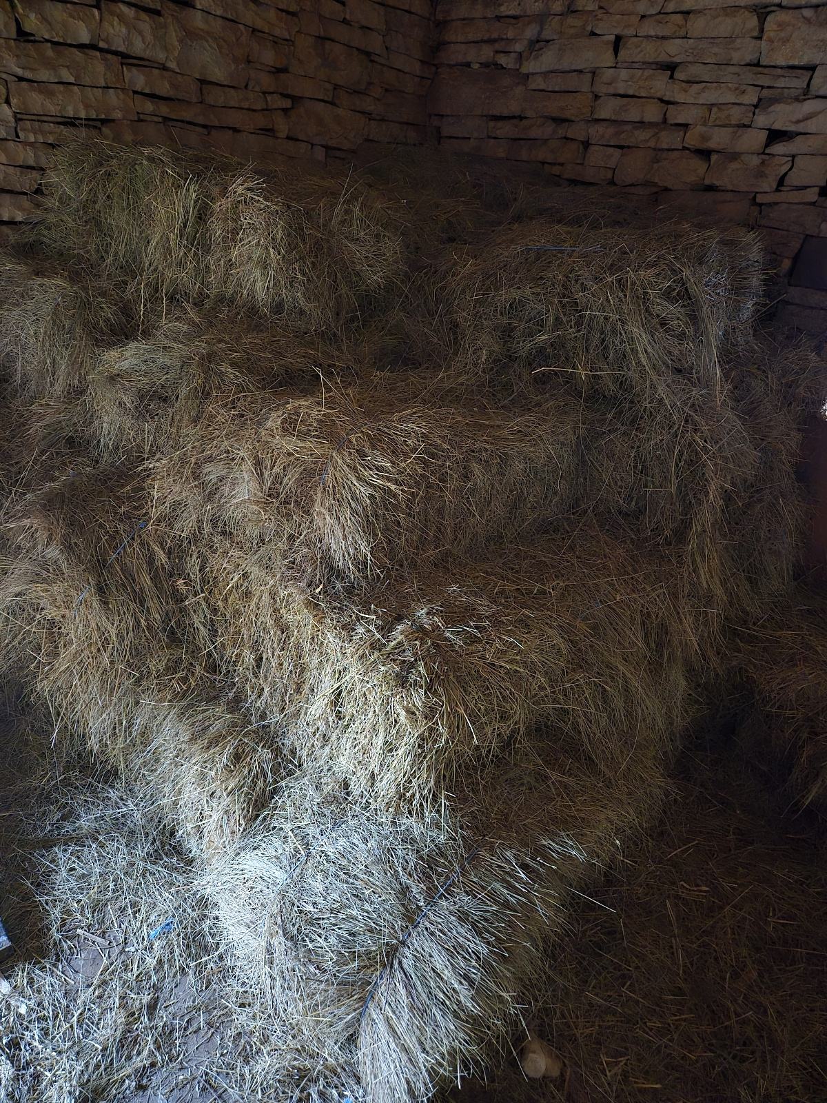 Kockaste bale sijena