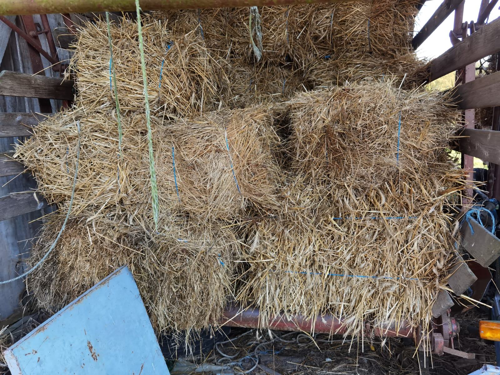 Kockaste bale slama- 100 komada