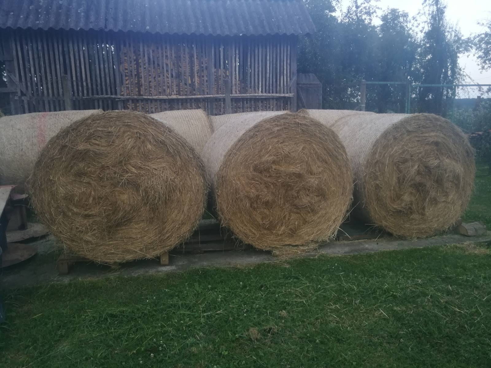 Prodajem sijeno u rolo balama