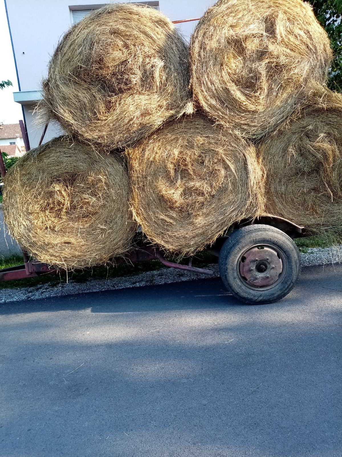 Prodaju se rolo bale 120/120 l kockaste bale sijena( livada)!!