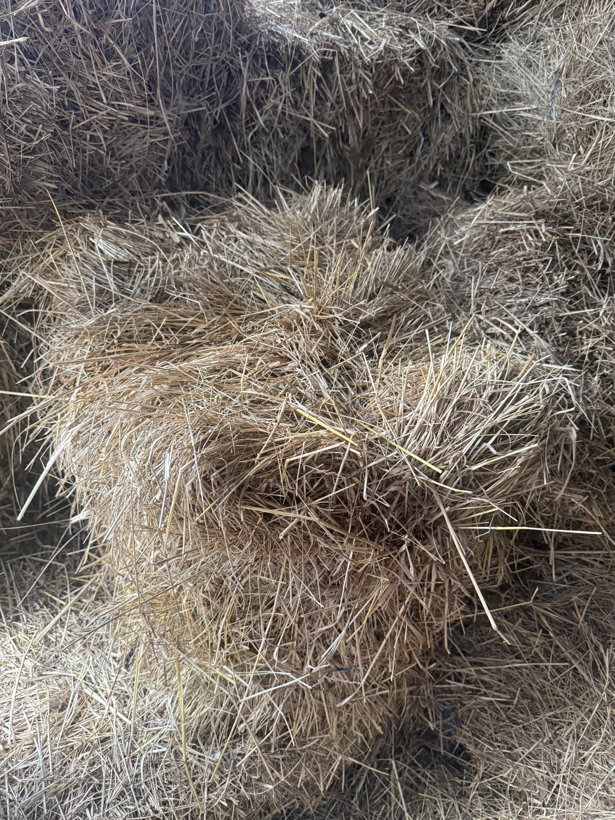 Sijeno u kockastim balama