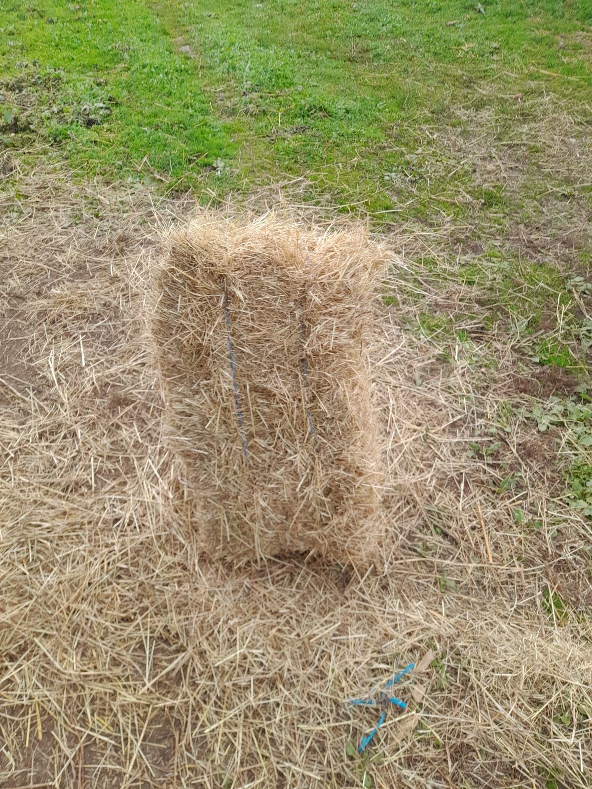 Sijeno proslogodisnje