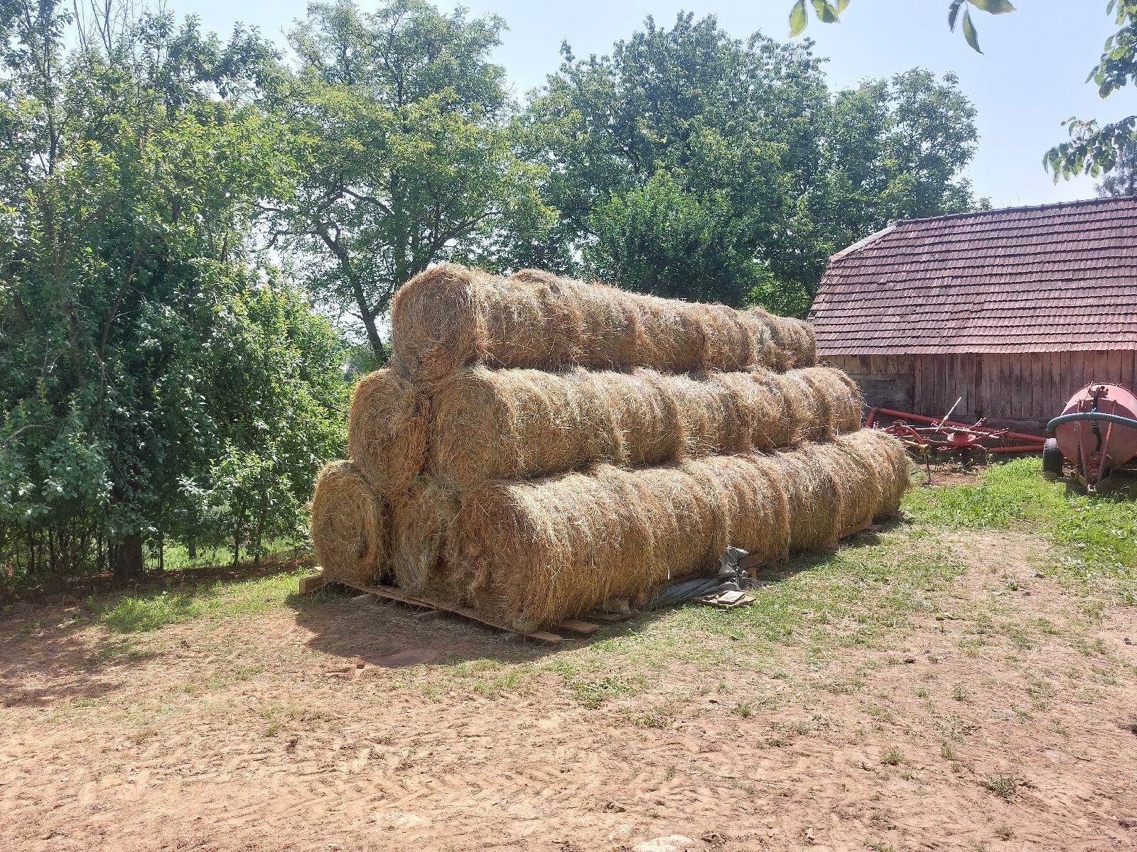 Sijeno u rolo balama