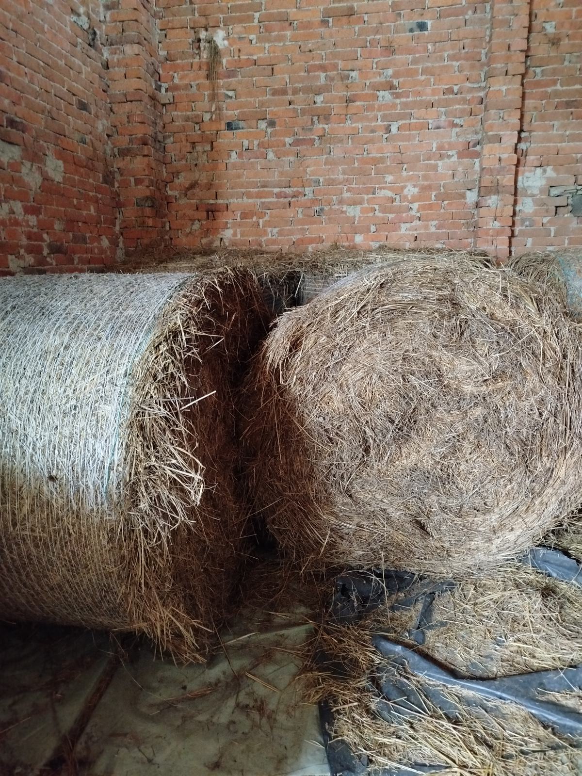 Sijeno u rolo balama