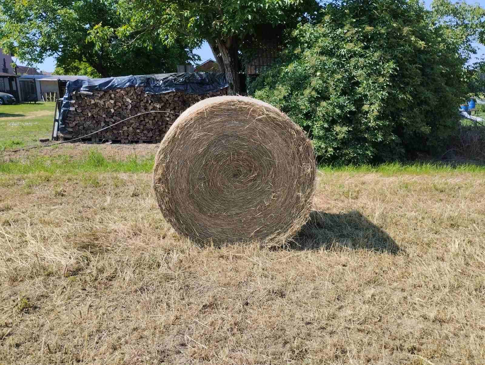 Sijeno rolo bale 300kg