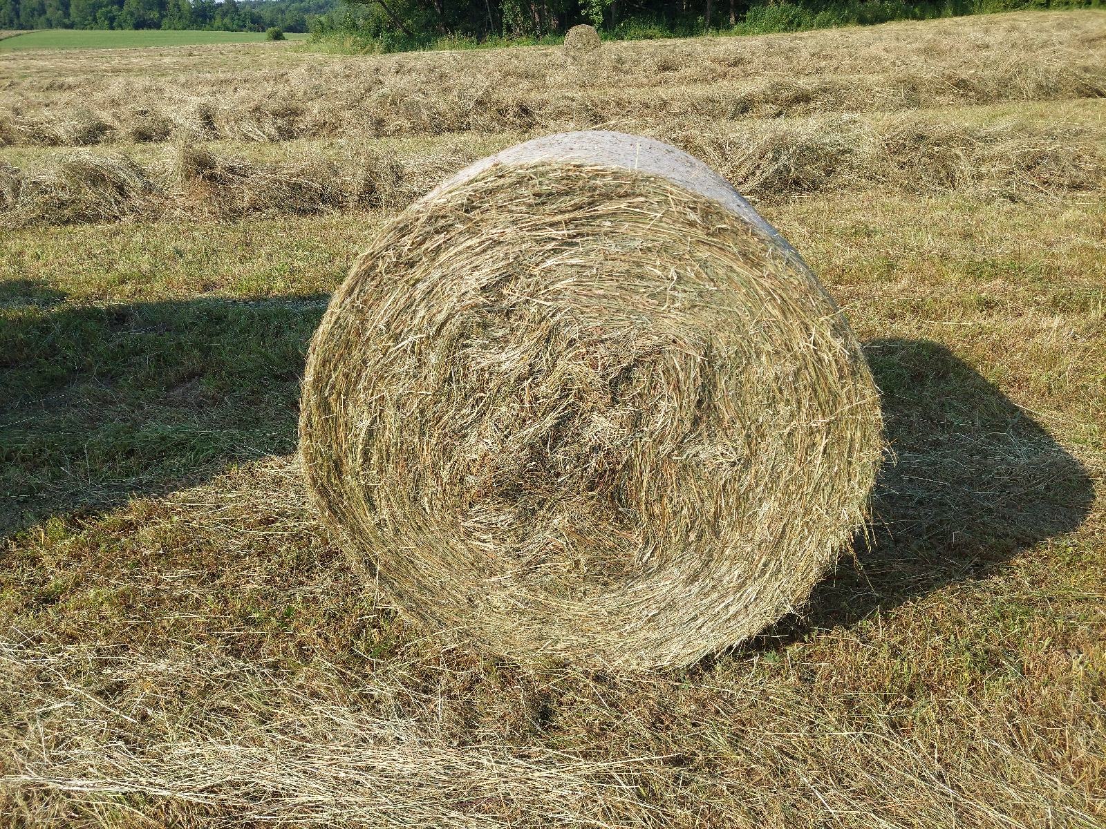 Sijeno rolo bale 300 kg