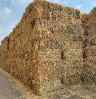 Slama - Velike kockaste bale