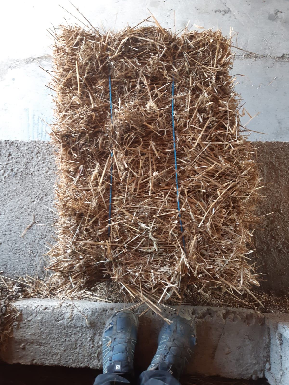 Slama od zobi i tritikala