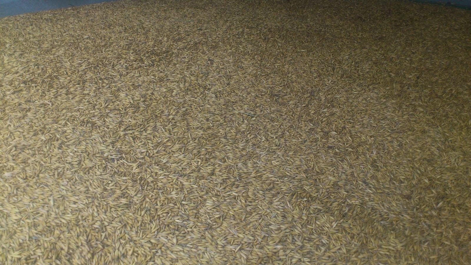 ZOB U VREČAMA 100 KG 150 KUNA