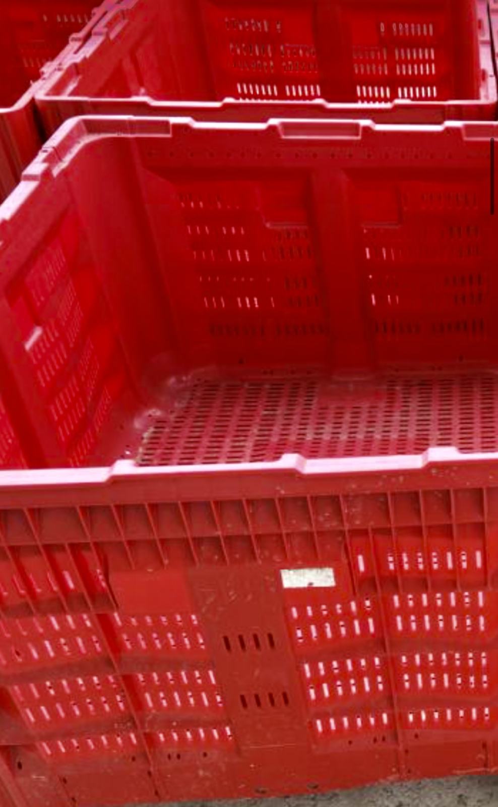 Box palete plastične