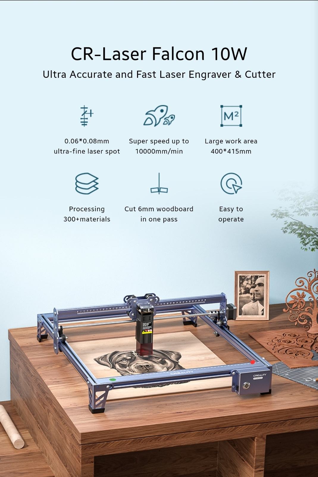 CR-Laser Falcon 10W gravirka