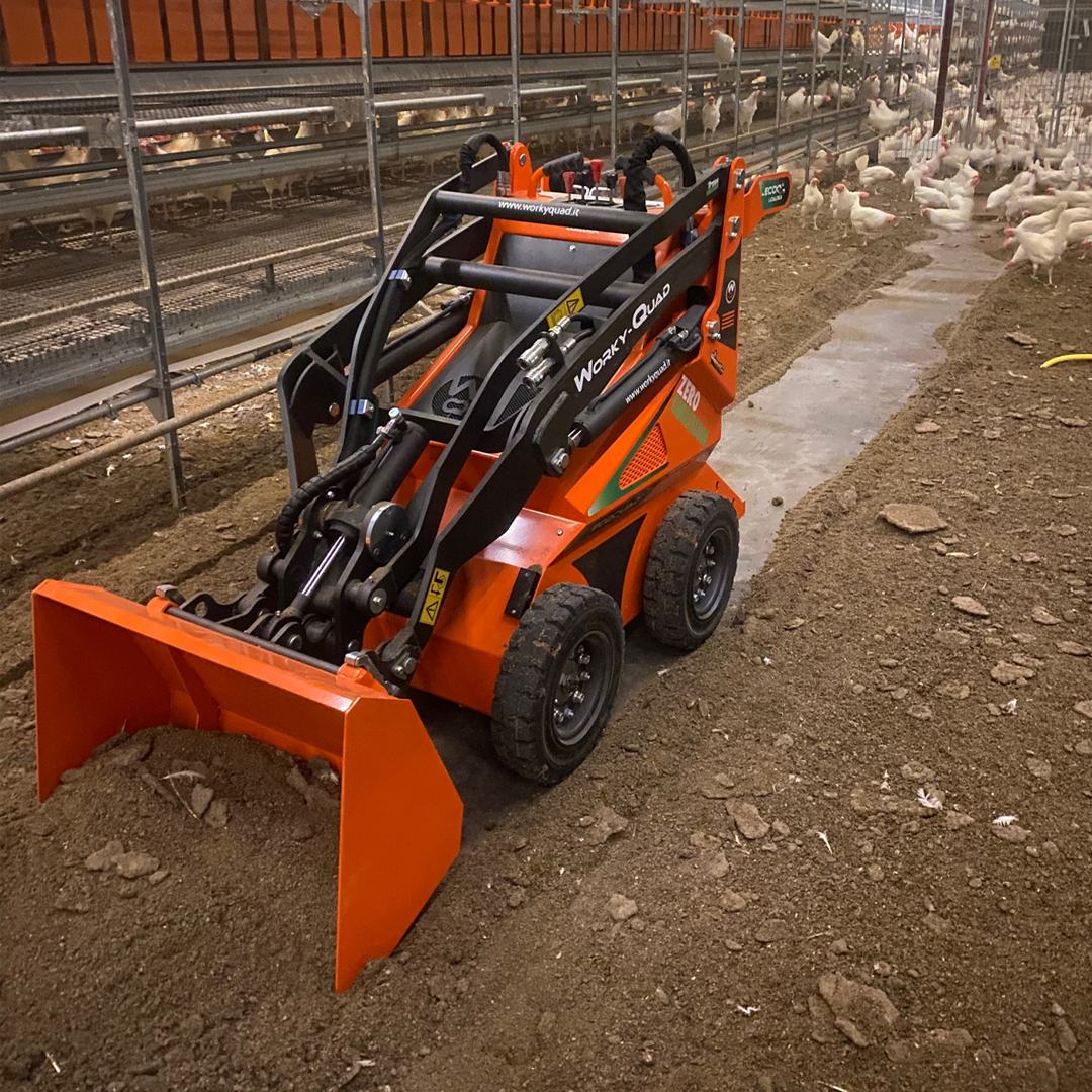 CAST SSQ 11 Purosangue