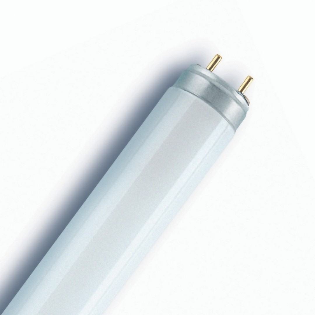 FLUO CIJEVI 120 CM, 36W, T8