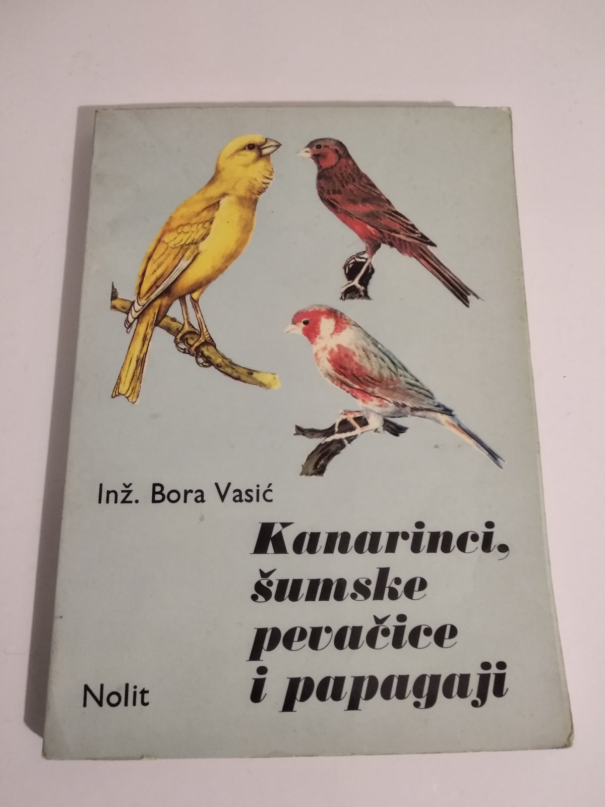 Bora Vasić : KANARINCI, ŠUMSKE PEVAČICE I PAPAGAJI