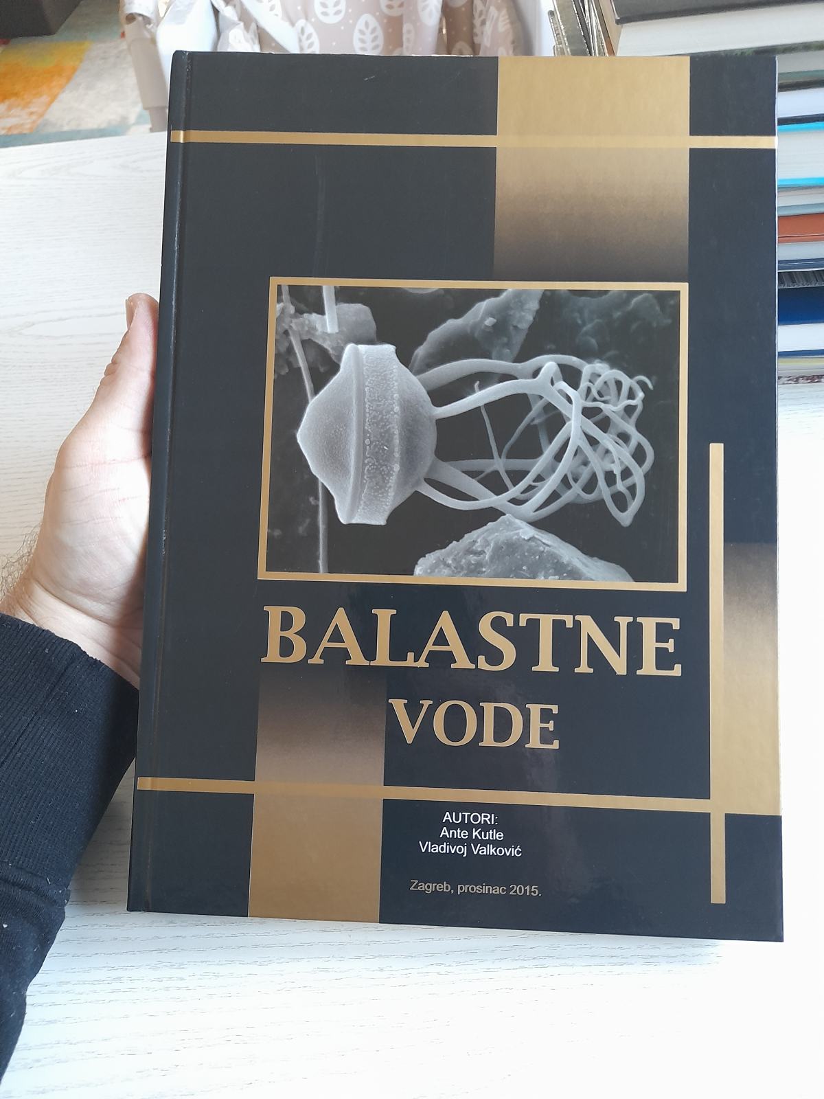 Ante Kutle, Vladivoj Valković-Balastne vode (2015.)