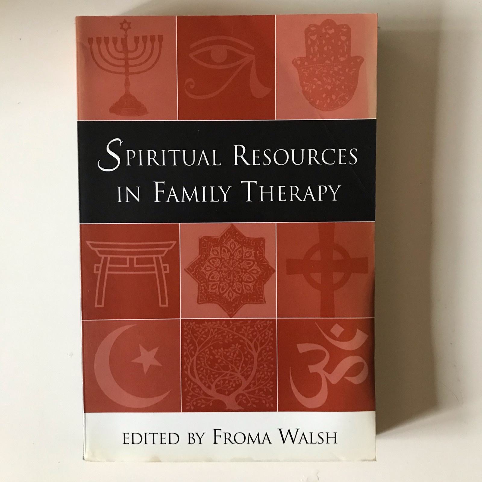 Froma Walsh : Spiritual resources in family therapy
