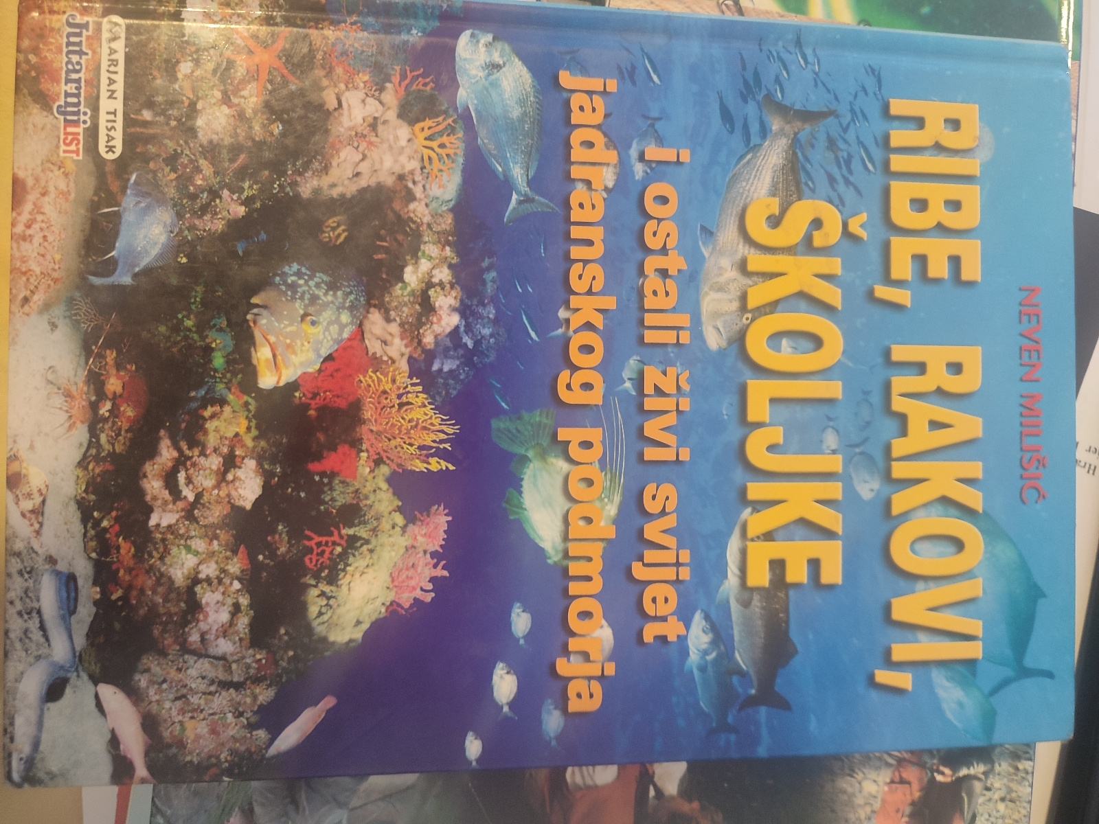 Ribe, rakovi i školjke