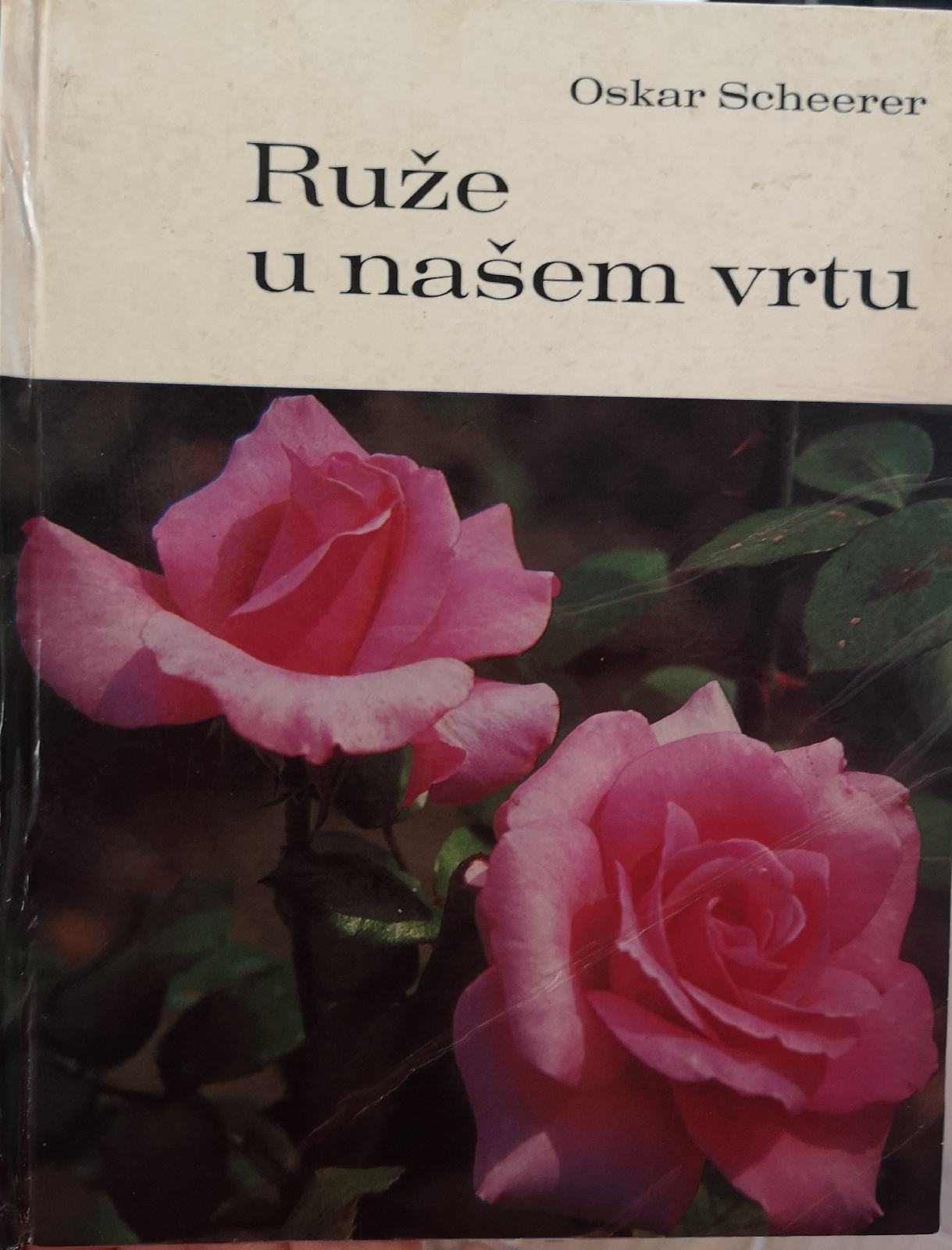 Rijetko.. RUZE U NASEM VRTU.. Oskar Scheerer
