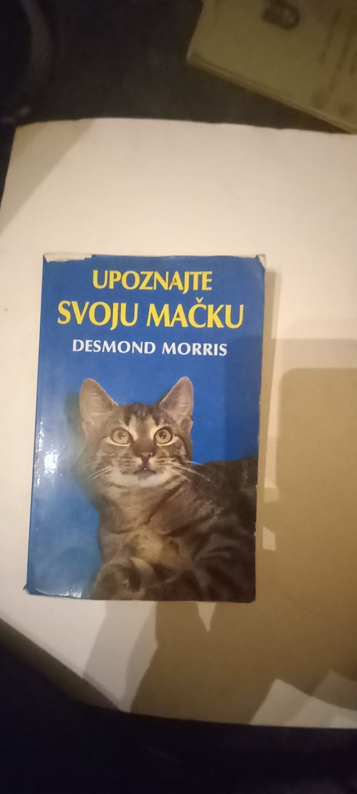 Upoznaj svoju macku