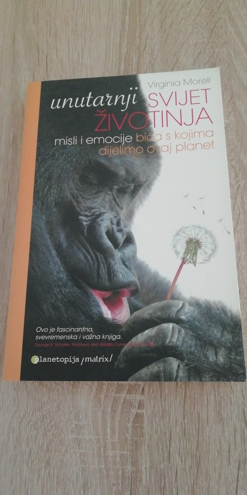 VIRGINIA MORELL, Unutarnji svijet životinja