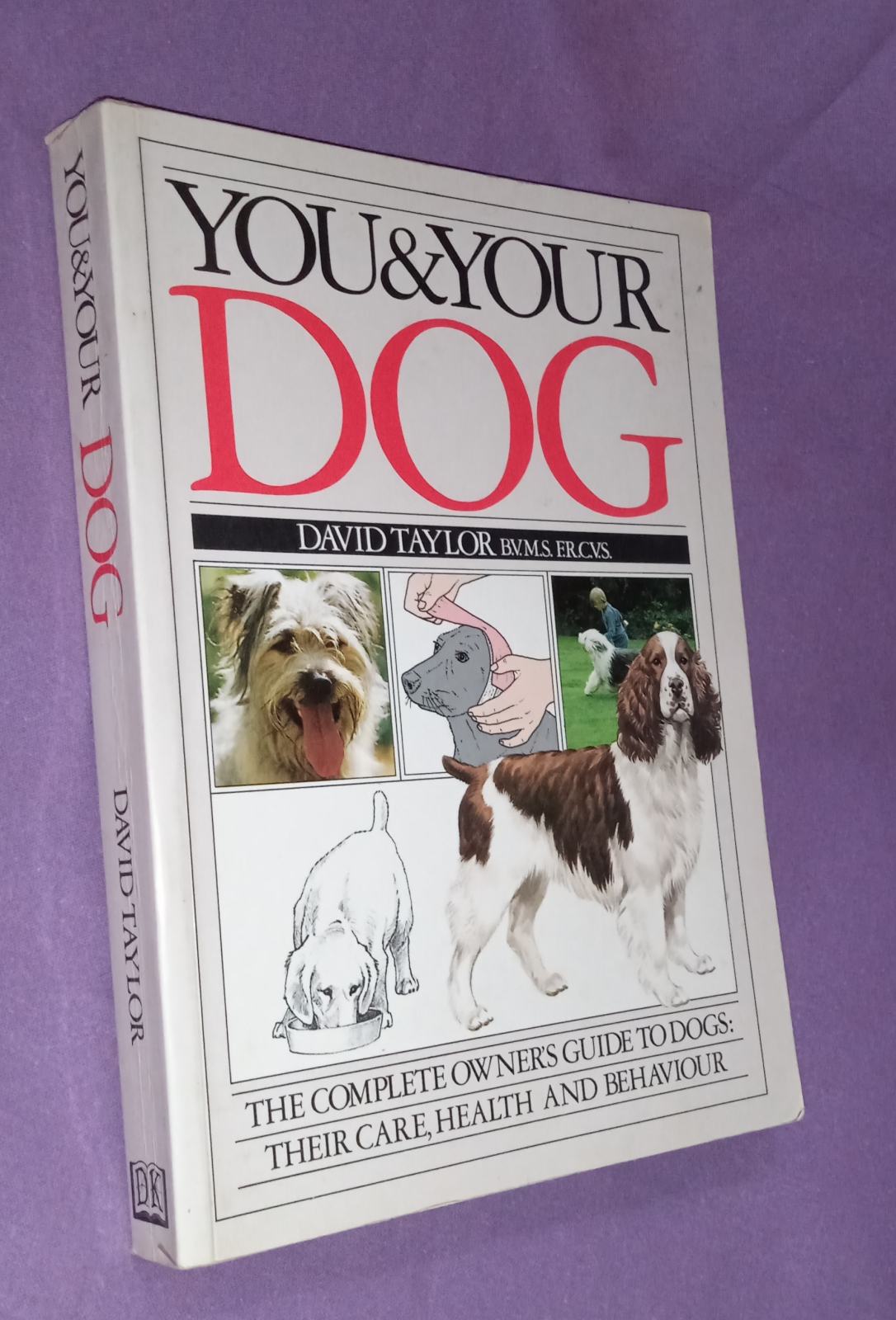 You & Your Dog, David Taylor (AN)
