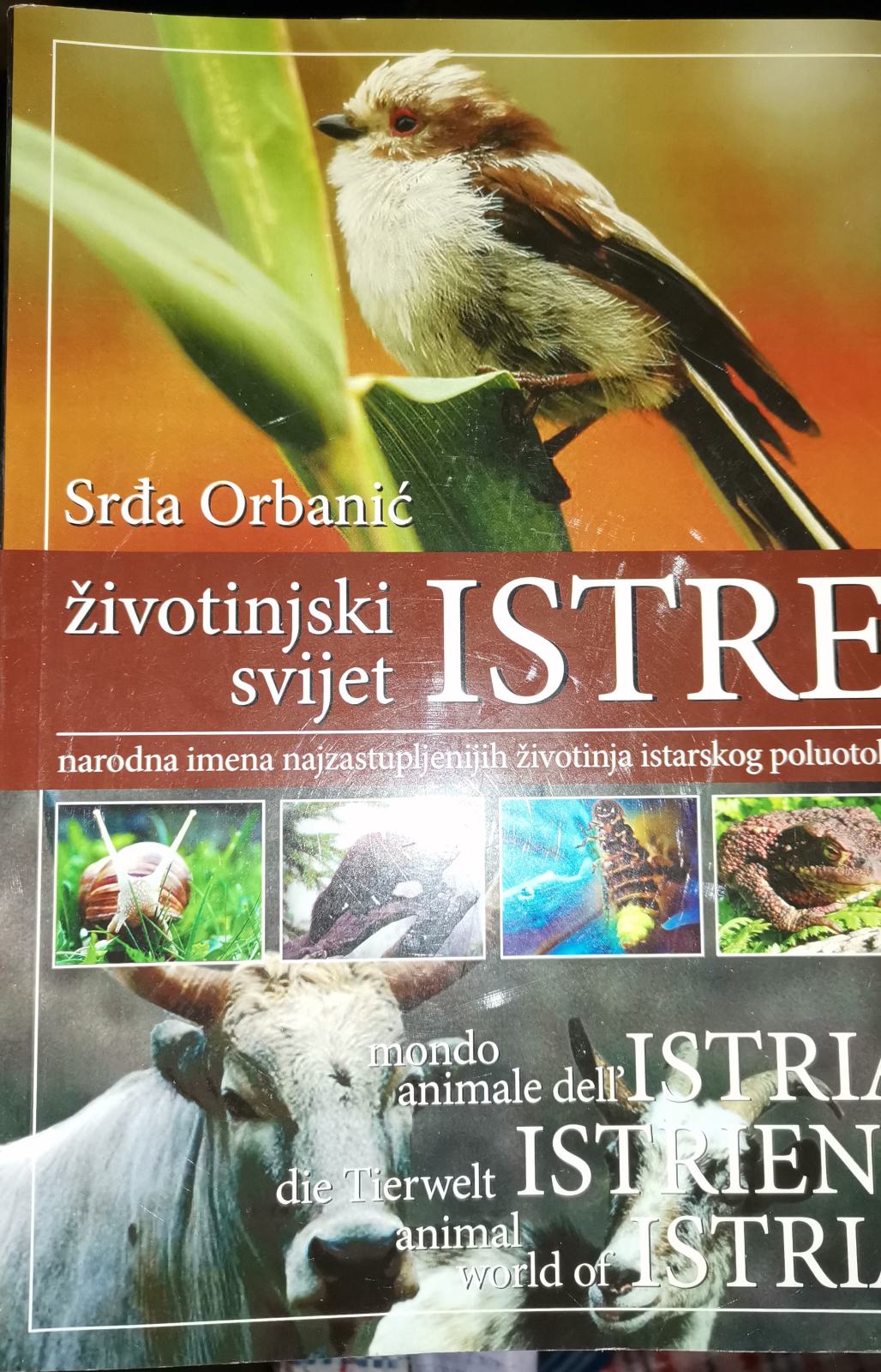 Životinjski svijet Istre