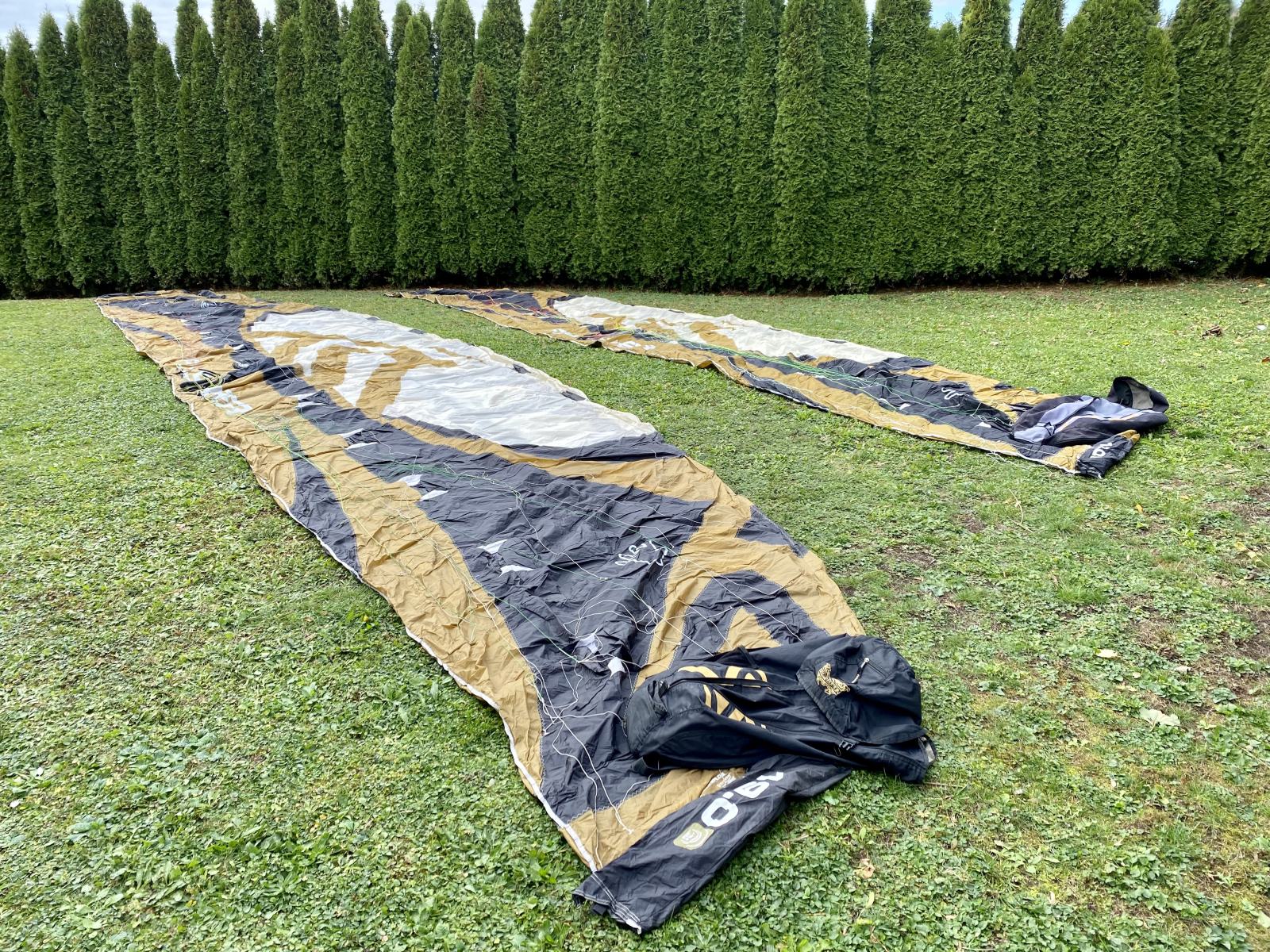 FLYSURFER SPEED 3 - 12m2 + 19m2 + Peter Lynn kite buggy