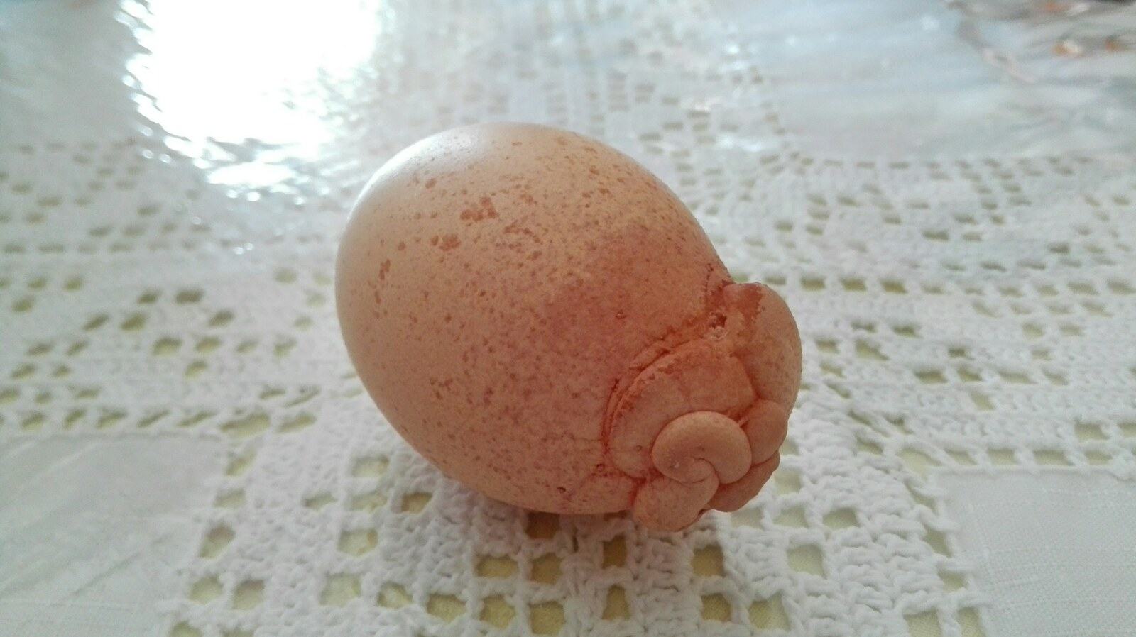 Unikatno kokošje jaje domaće proizvodnje