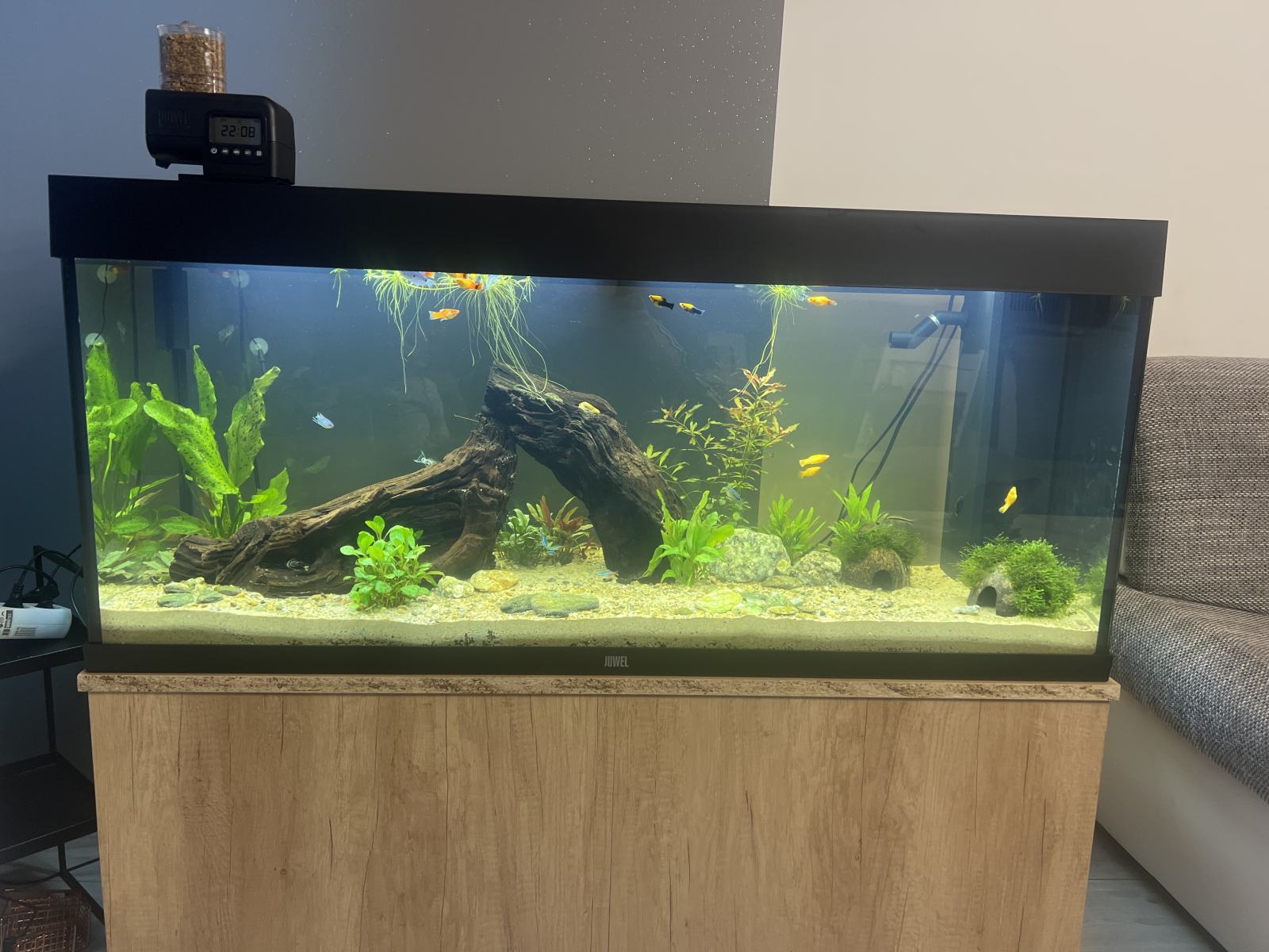 Akvarij 240L sve sa slika juwel