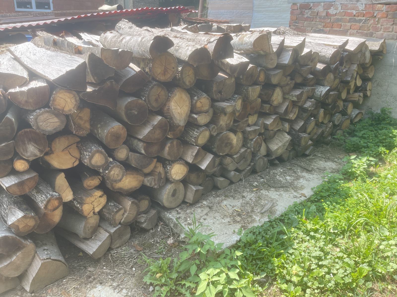 Drva grab/bukva 10 metara