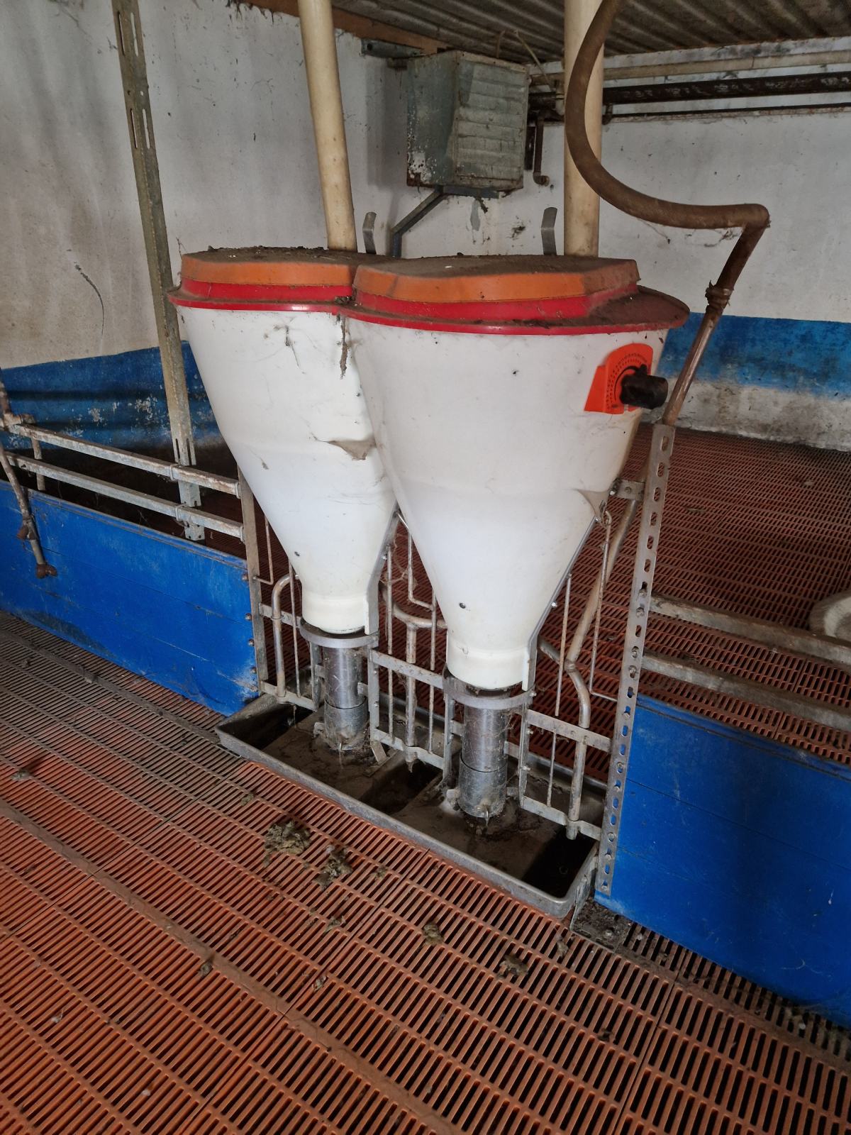 DUPLA HRANILICA ZA SVINJE