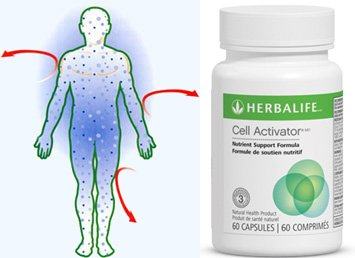 Herbalife cell activator