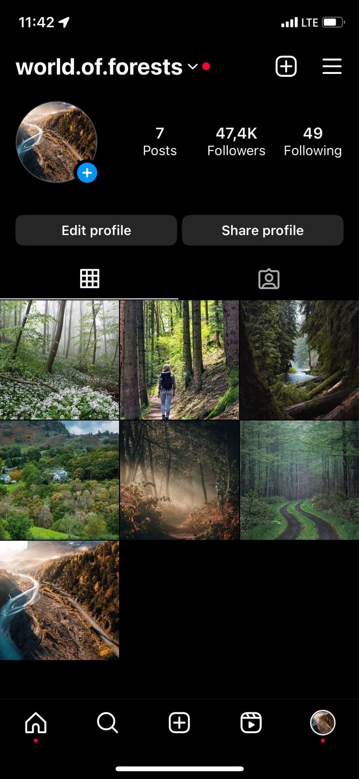 Instagram Profil