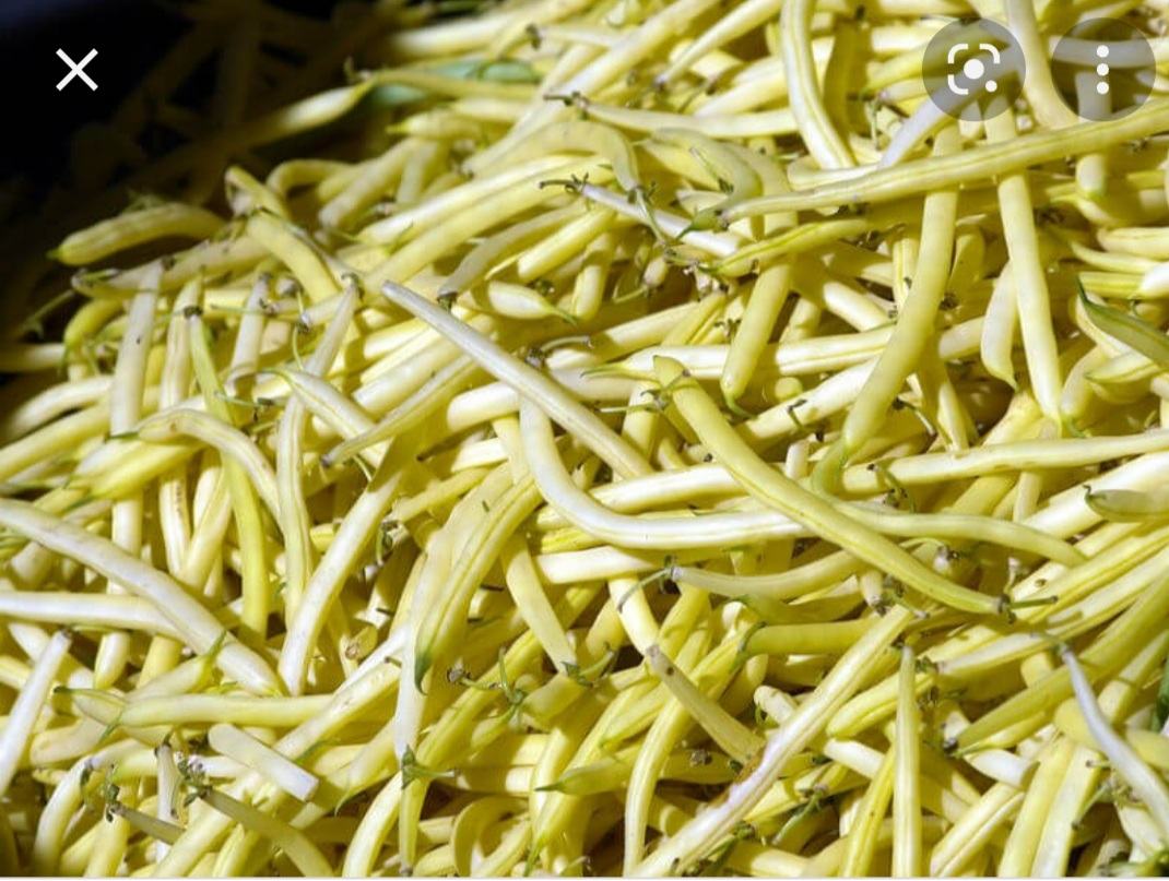 Mahune domaće žute i zelene