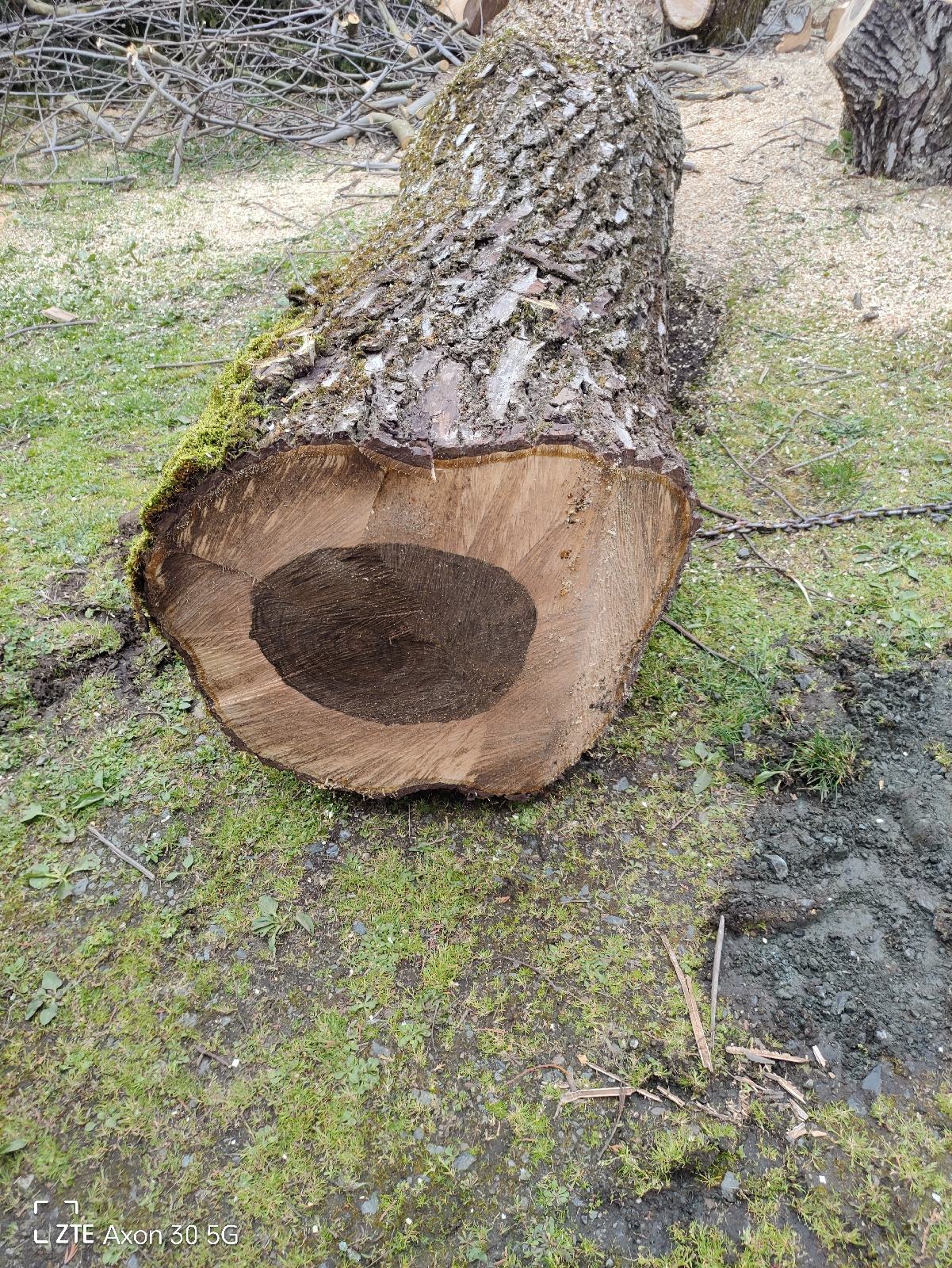 Orah trupac 300x70cm