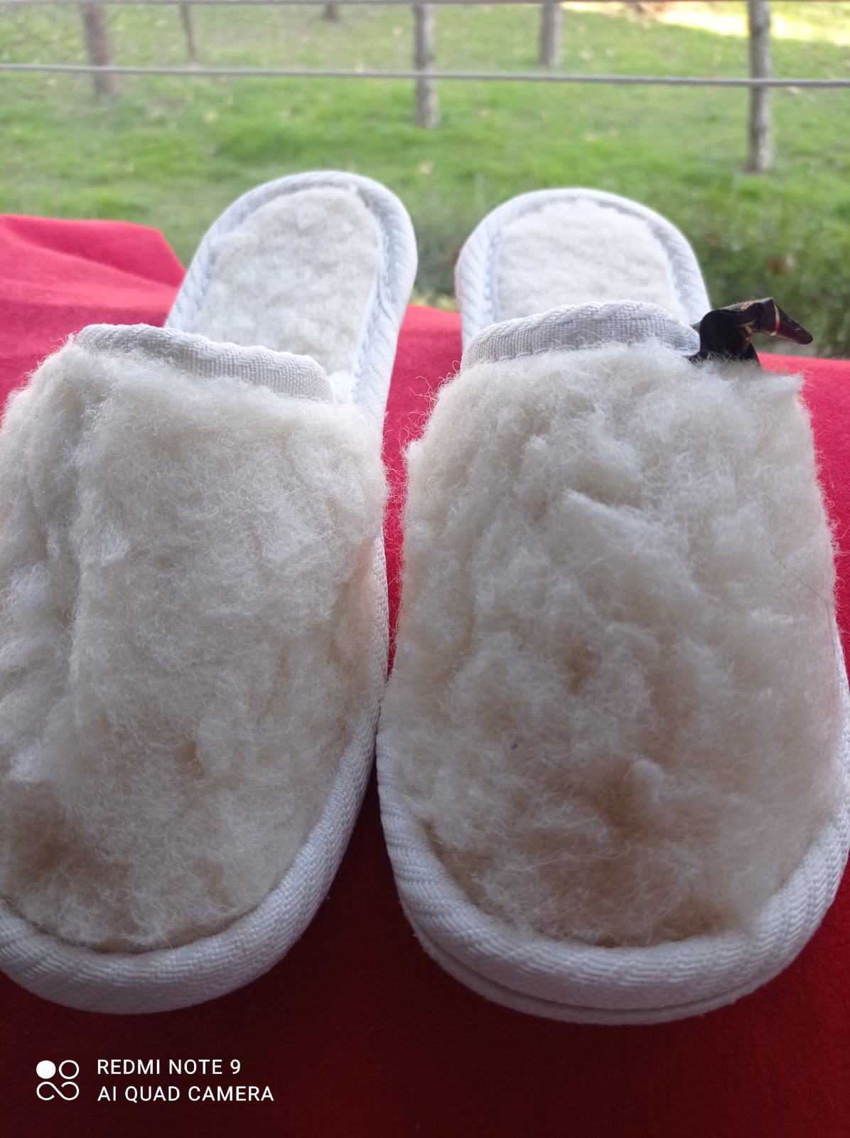 Plaše,papuče br.38-Vuna-Novo