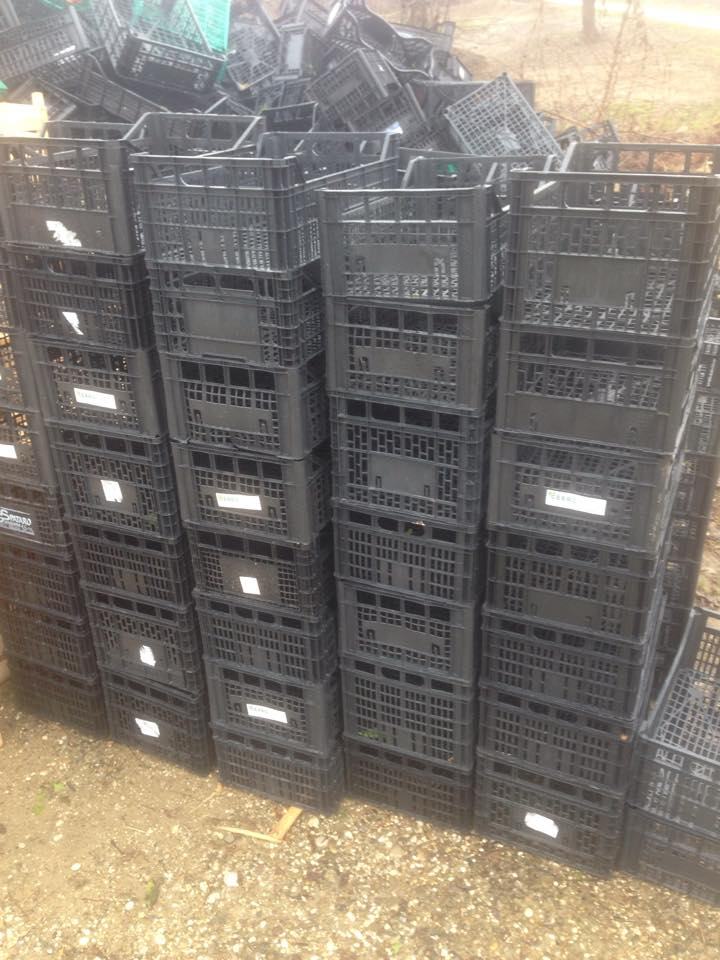 Plasticne i drvene gajbe razlicitih velicina
