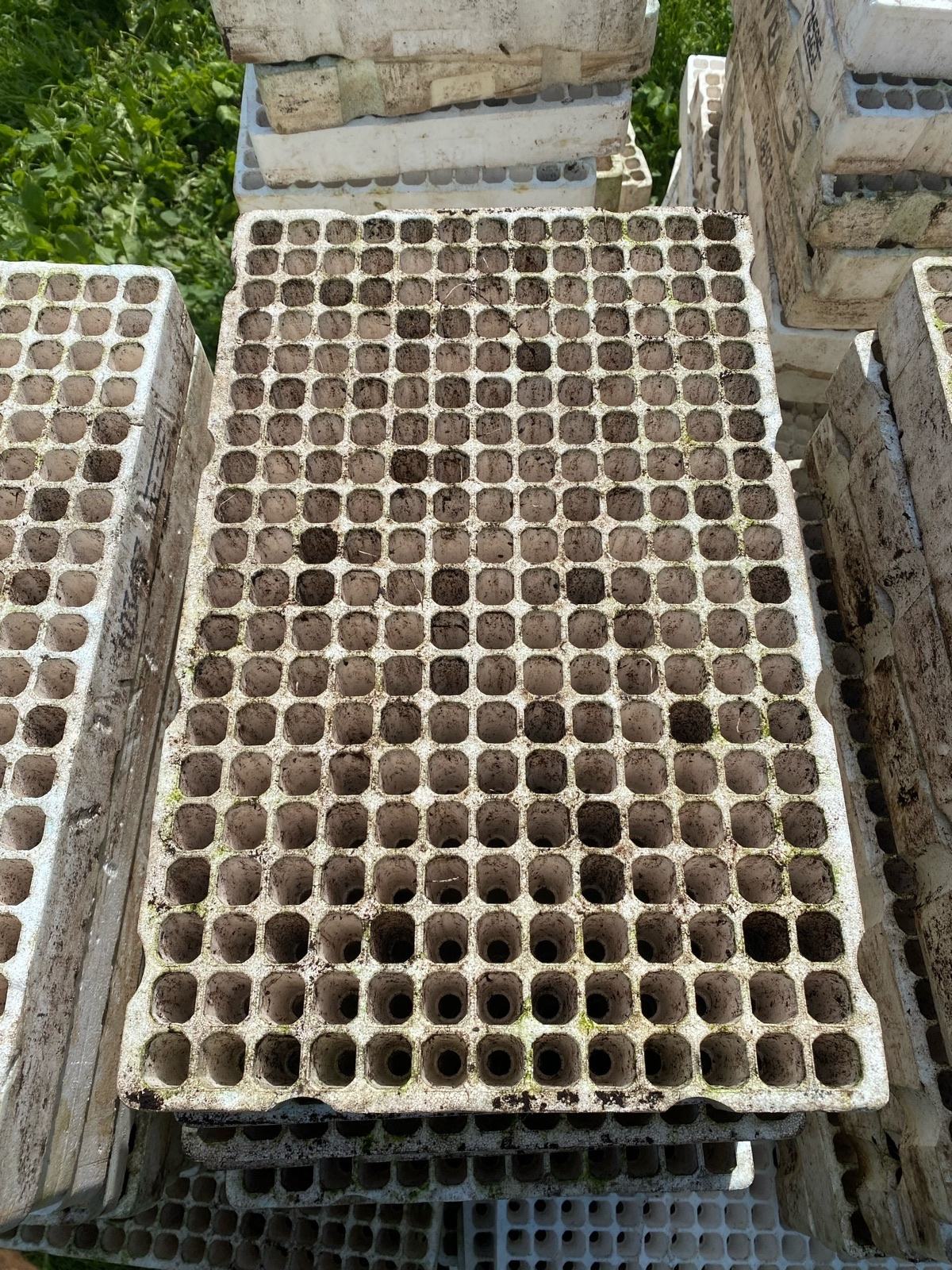 Plitice kontejneri za rasad