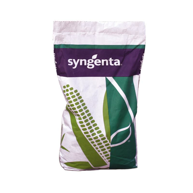 Sjeme kukuruza Syngenta Carioca 25 MK